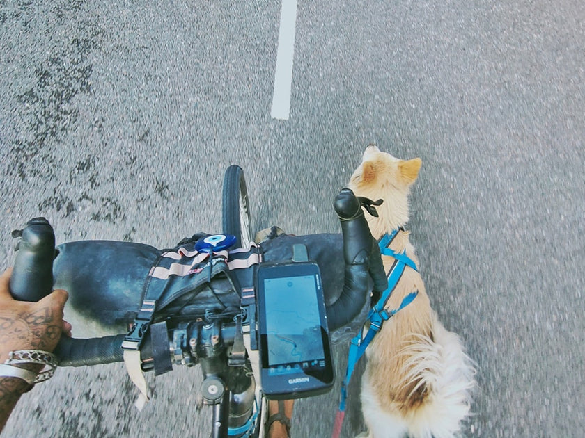 Bike Without Borders – Exploraris.com