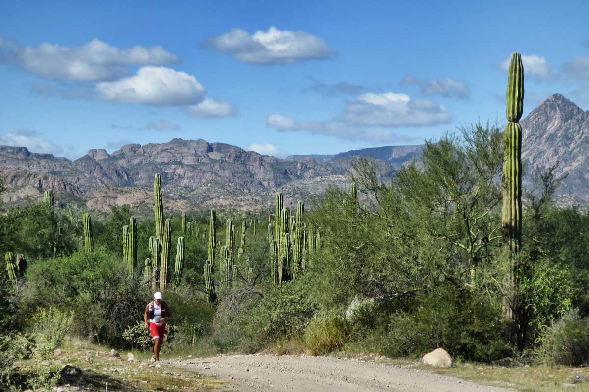 Carrera de Baja Mexican Trail - Mexico – Exploraris.com